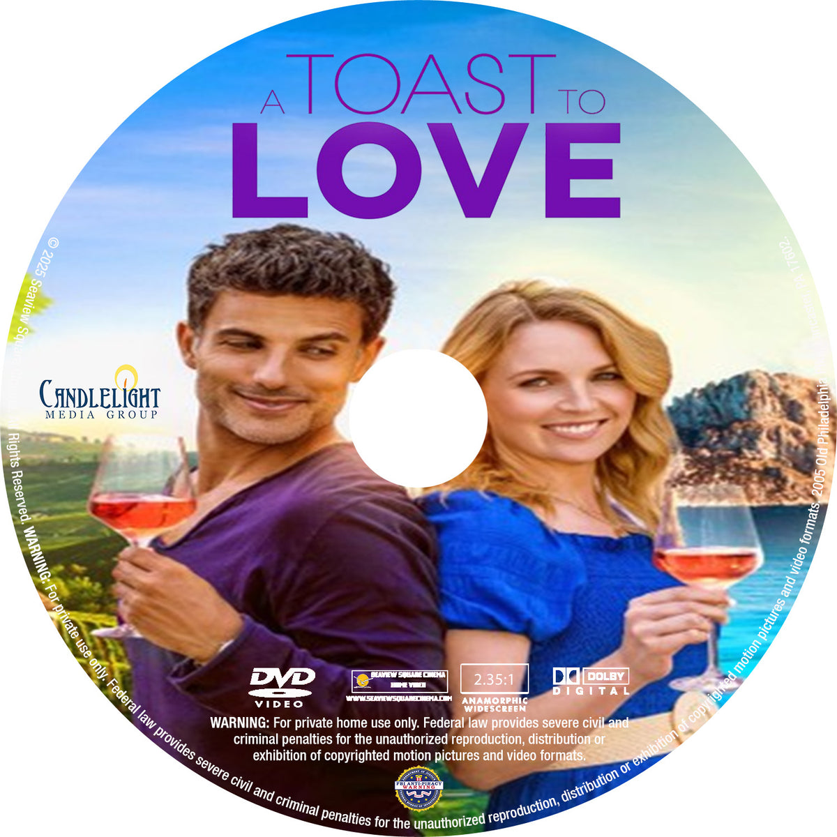 A Toast To Love [DVD] [DISC ONLY] [2024] - Seaview Square Cinema