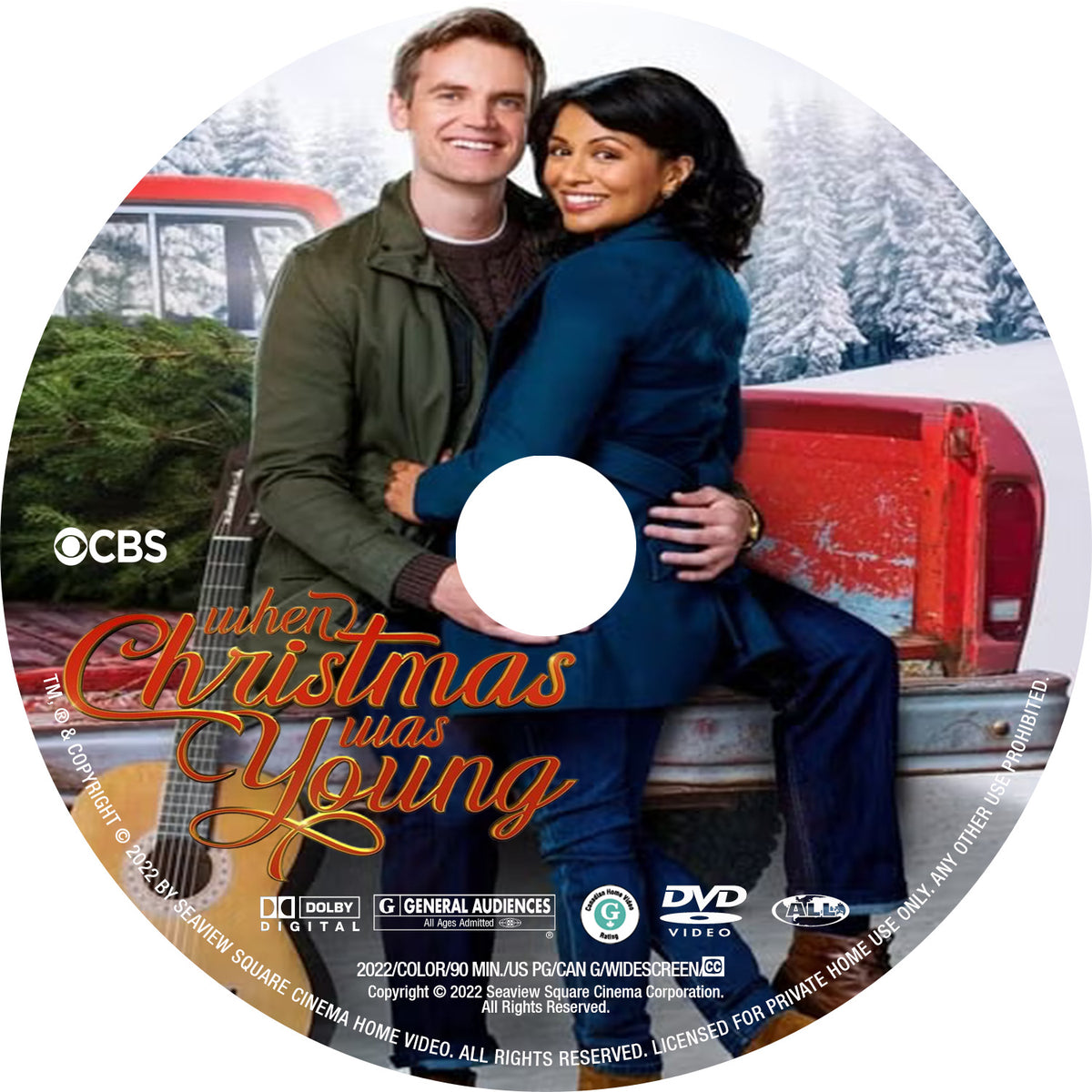 When Christmas Was Young [DVD] [DISC ONLY] [2022] - Seaview Square Cinema