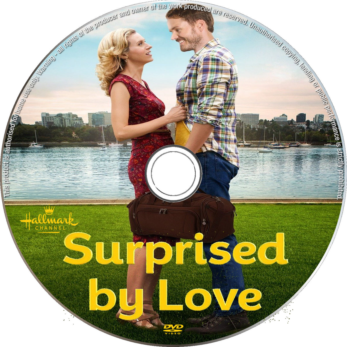 Surprised By Love [DVD] [DISC ONLY] [2015] - Seaview Square Cinema